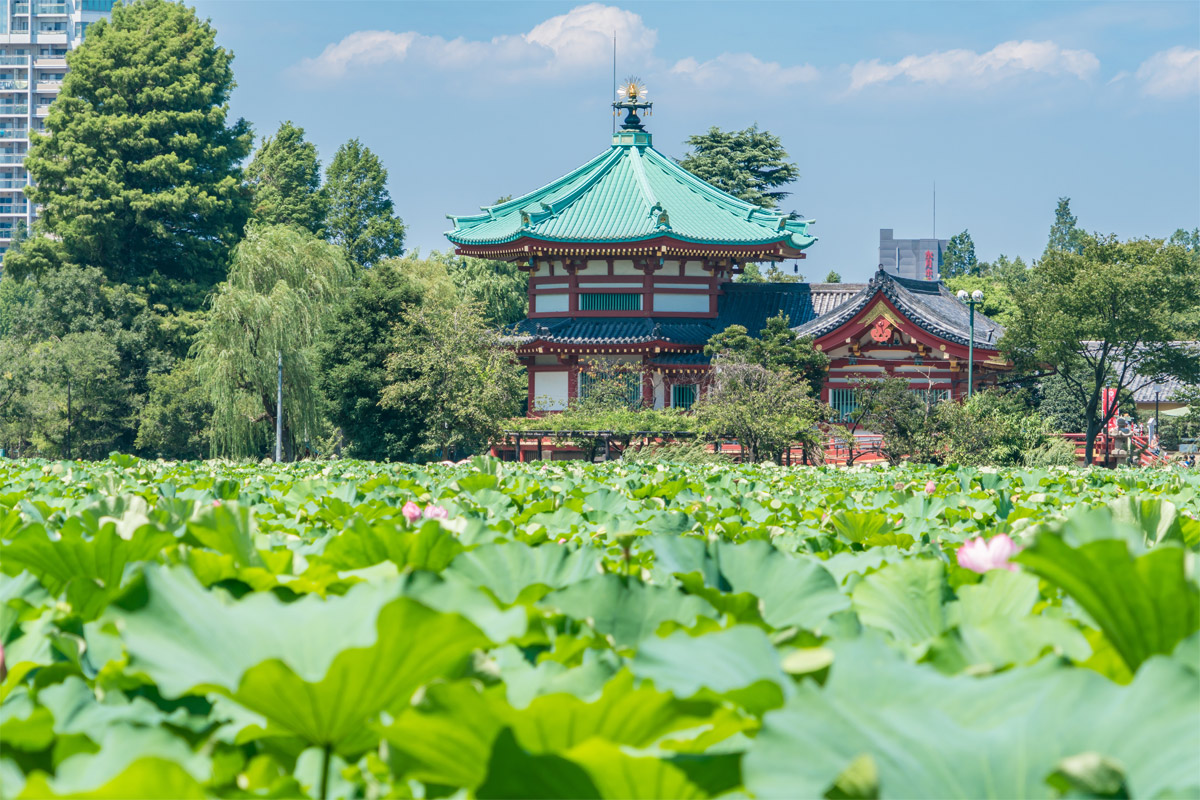 Ueno Park: A Guide to Tokyo's Cultural and Recreational Oasis - Junket ...