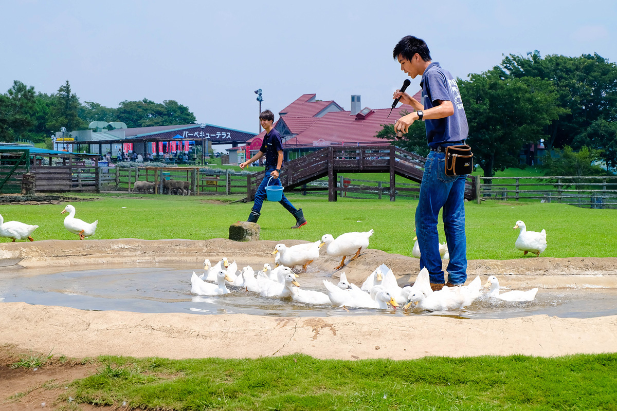 Chiba Mother Farm: A Delightful Family Experience Amidst Nature ...