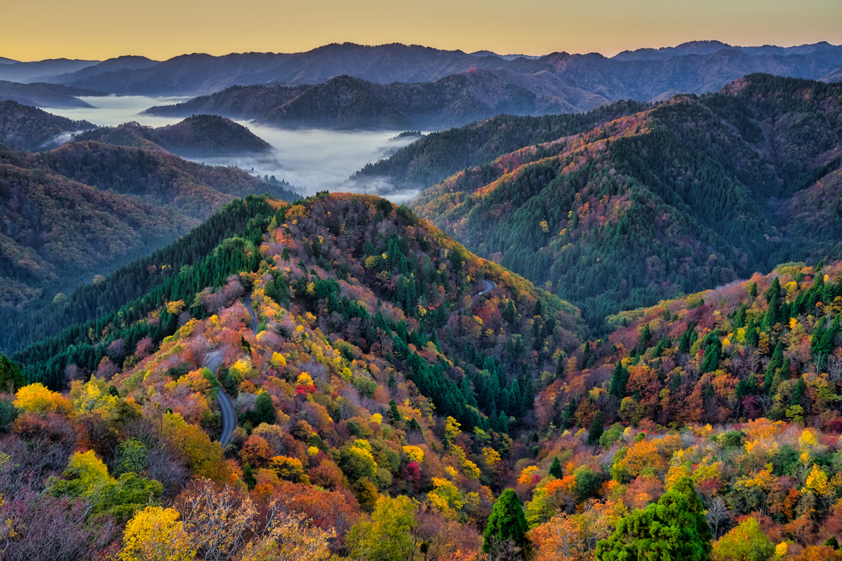 Shiga: 12 Top-Rated Things to do in Shiga - Junket Japan